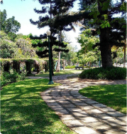 Baraka Classic - Bus Tickets from Dar es Salaam to Mtwara, Masasi & More